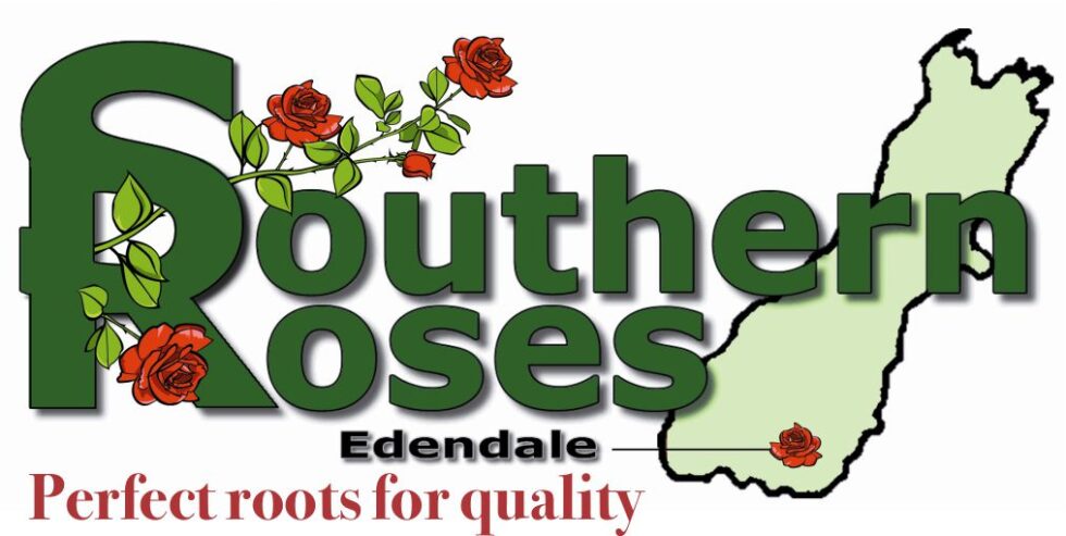 Southern Roses | perfect roots for quality